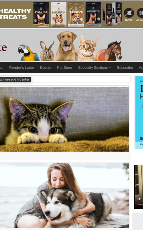 Infydots Technologies - IT Managed Services