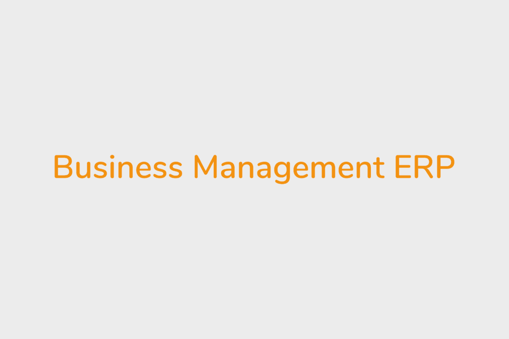 Business Management ERP Advantages and Disadvantages: How To Decide